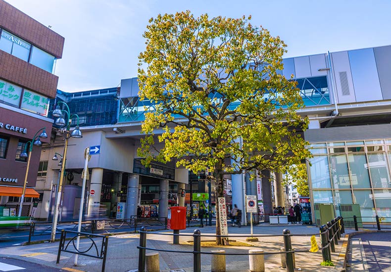 クリオ自由が丘壱番館｜MORIMOTO DESIGNER'S RENOVATION モリモト デザイナーズ リノベーション[スプレーモ ]